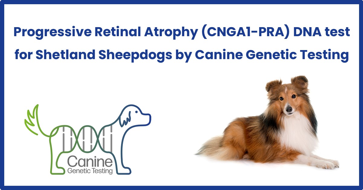 Progressive Retinal Atrophy (CNGA1 type) | Canine Genetic Testing