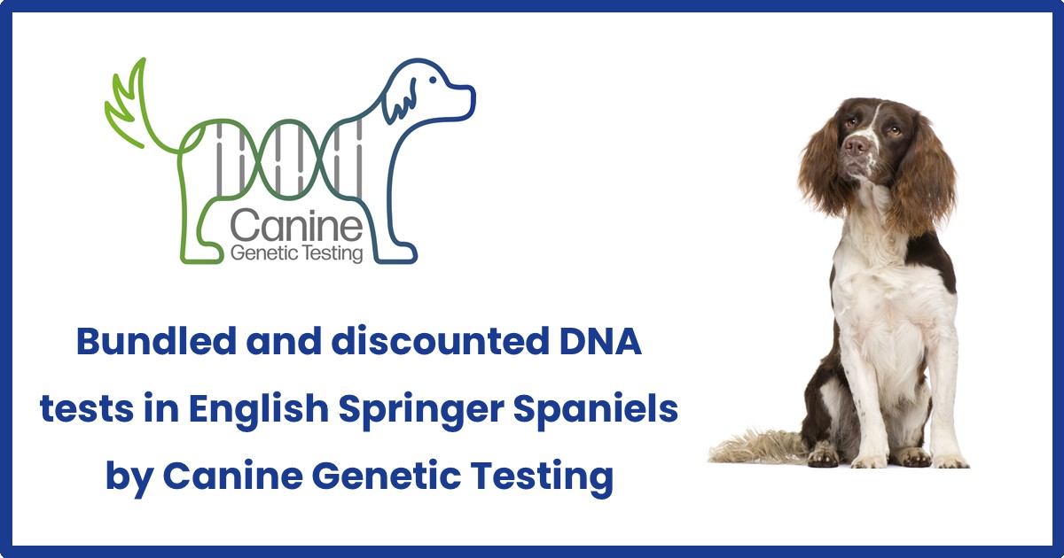 English Springer Spaniel Bundle | Canine Genetic Testing