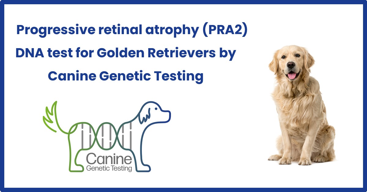 Progressive Retinal Atrophy (PRA2 type) | Canine Genetic Testing