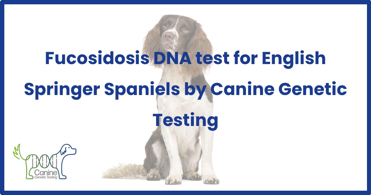 Fucosidosis | Canine Genetic Testing