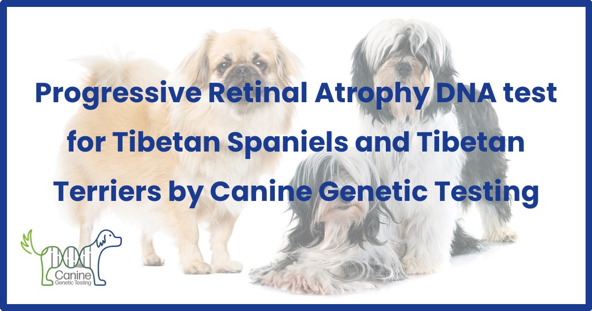 Progressive Retinal Atrophy (PRA3 type) | Canine Genetic Testing