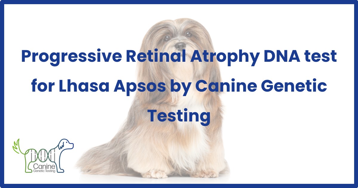 Progressive Retinal Atrophy (PRA4 type) | Canine Genetic Testing