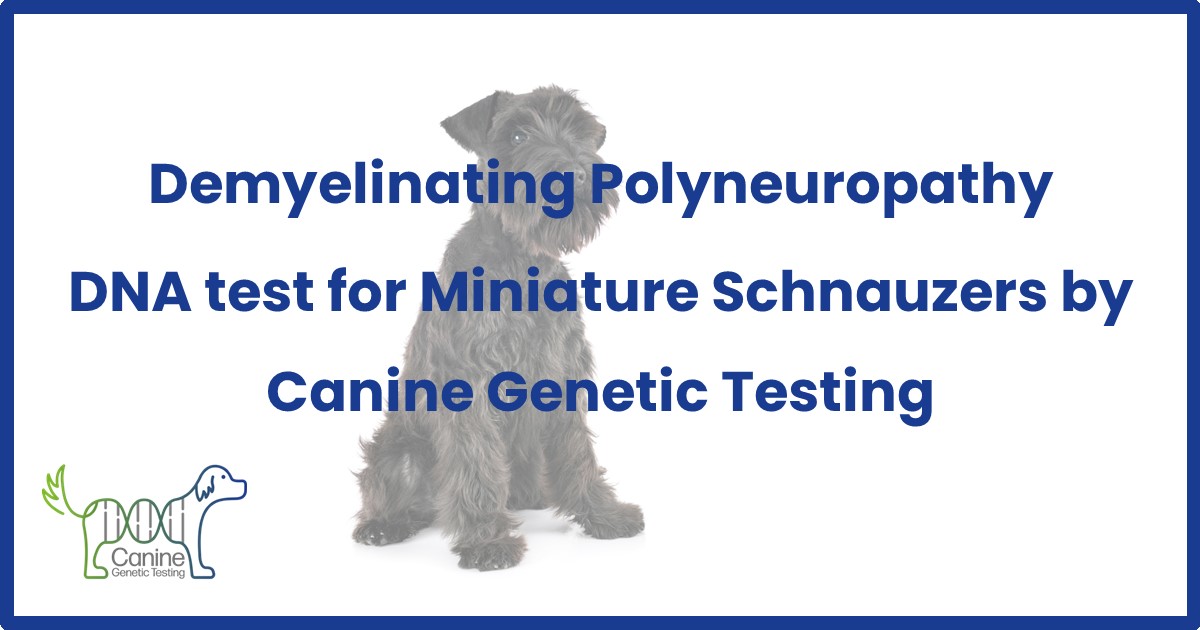 Demyelinating Polyneuropathy | Canine Genetic Testing