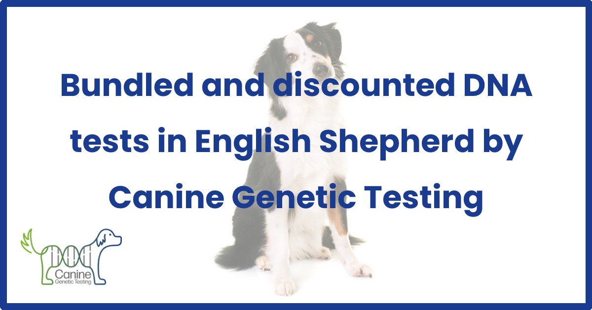 English Shepherd Bundle | Canine Genetic Testing