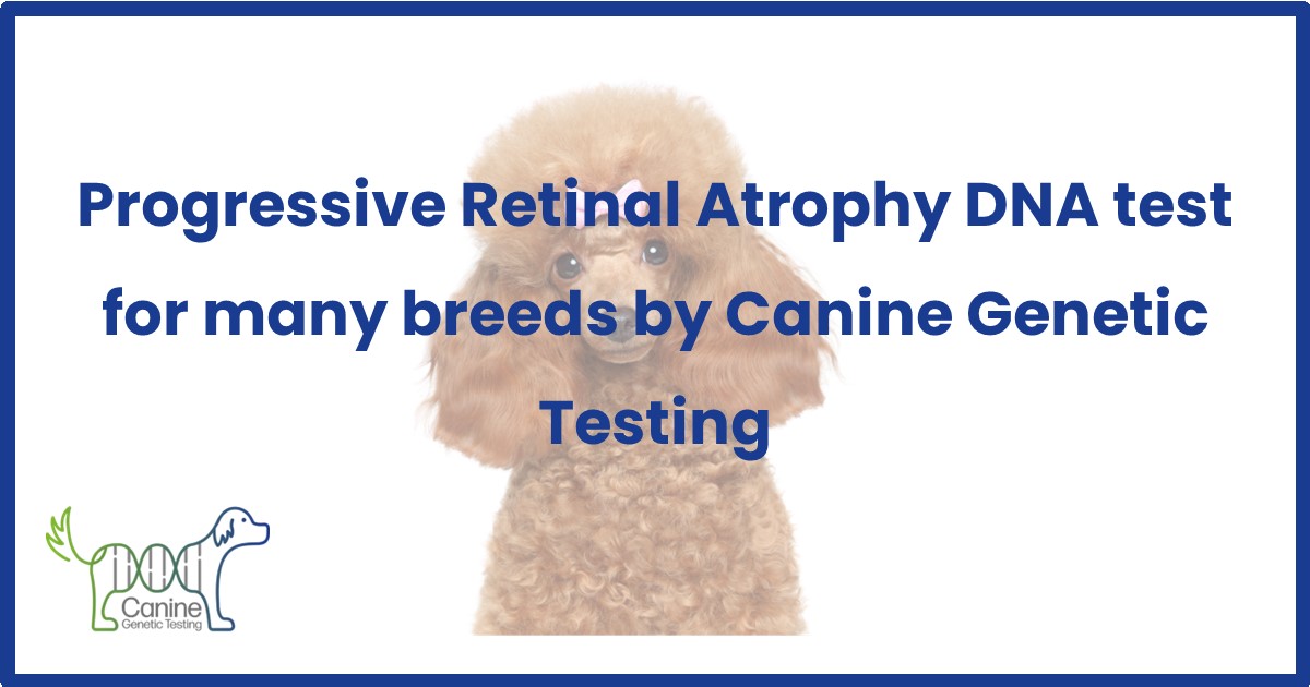 Progressive Retinal Atrophy (PRCD type) | Canine Genetic Testing