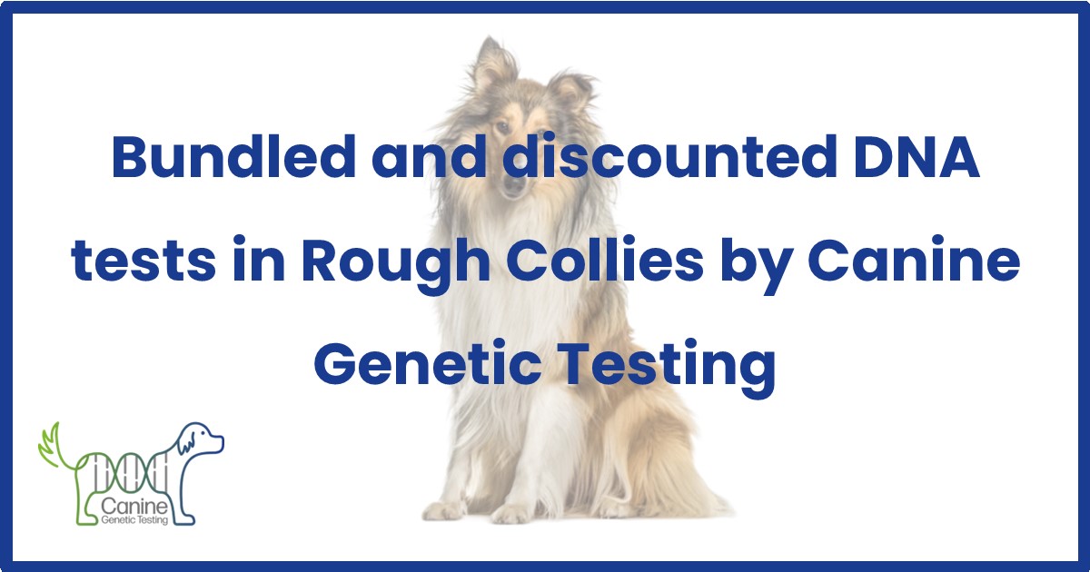Rough Collie Bundle | Canine Genetic Testing