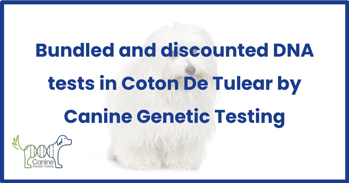 Coton De Tulear Bundle | Canine Genetic Testing