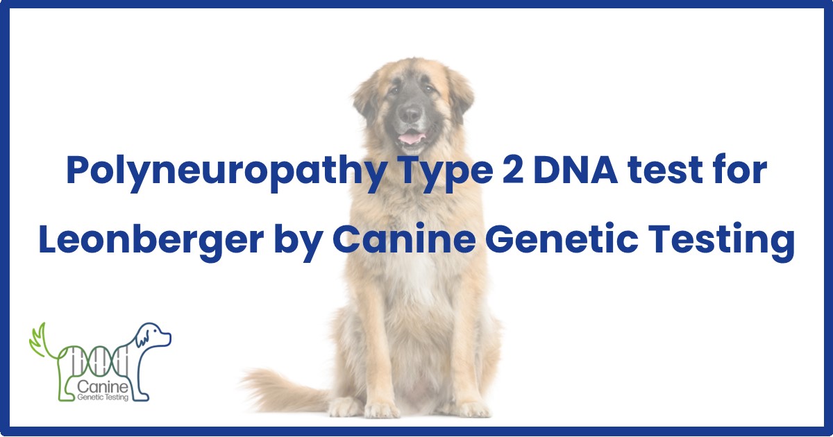 Polyneuropathy (Leonberger Type 2, LPN2) | Canine Genetic Testing
