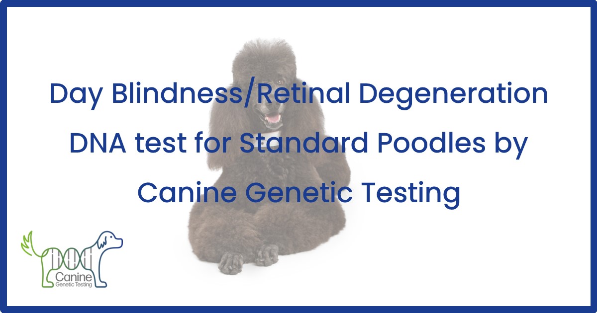 Day Blindness/Retinal Degeneration (DB/RD) | Canine Genetic Testing