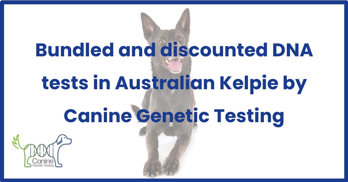 Australian Kelpie Bundle | Canine Genetic Testing
