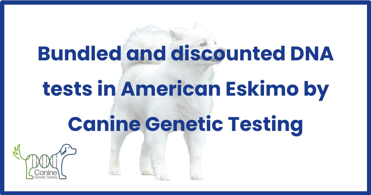 American Eskimo Bundle | Canine Genetic Testing