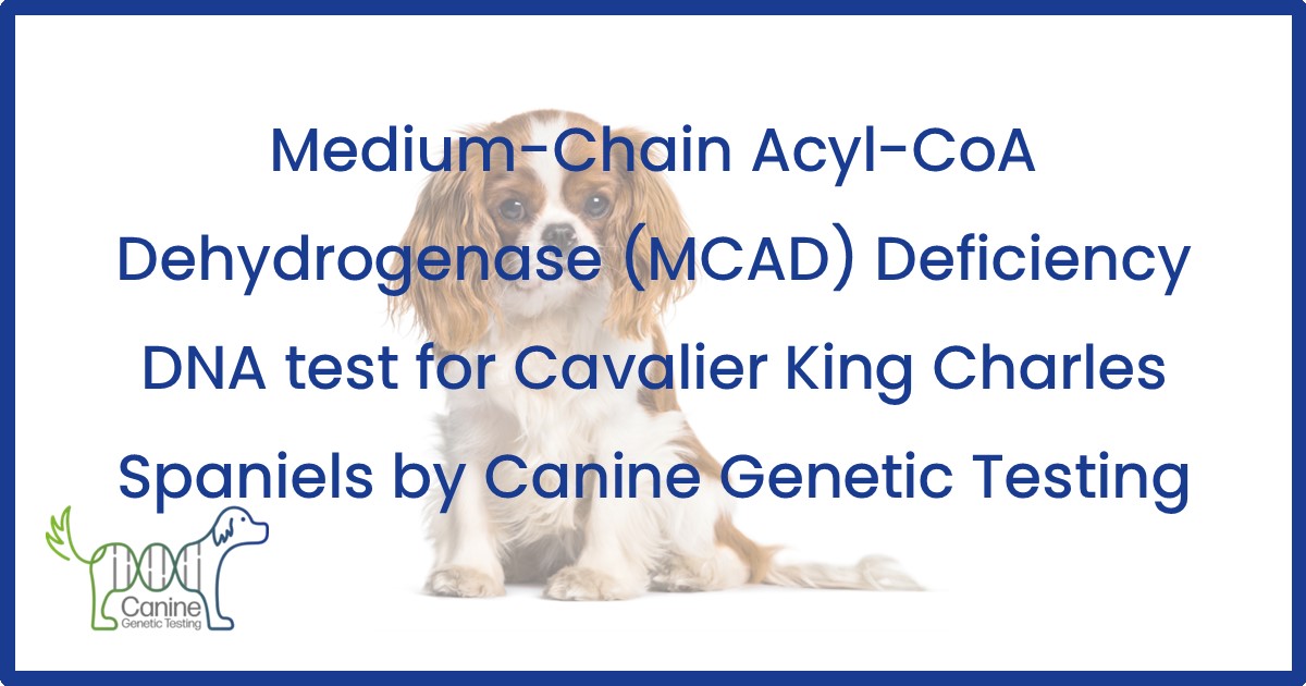 Medium-Chain Acyl-CoA Dehydrogenase (MCAD) Deficiency | Canine Genetic ...