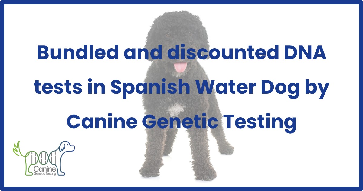 Spanish Water Dog Bundle | Canine Genetic Testing