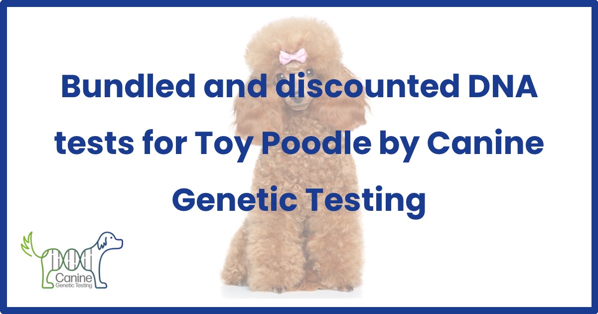 Poodle (Toy) Bundle | Canine Genetic Testing