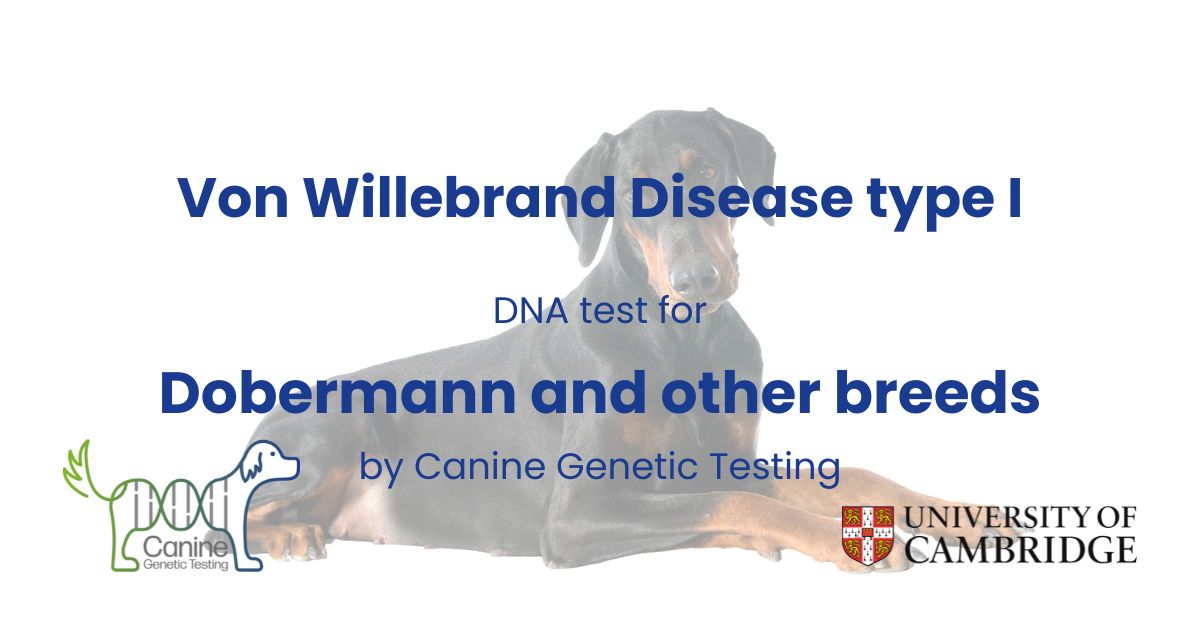 Von Willebrand Disease Type I | Canine Genetic Testing