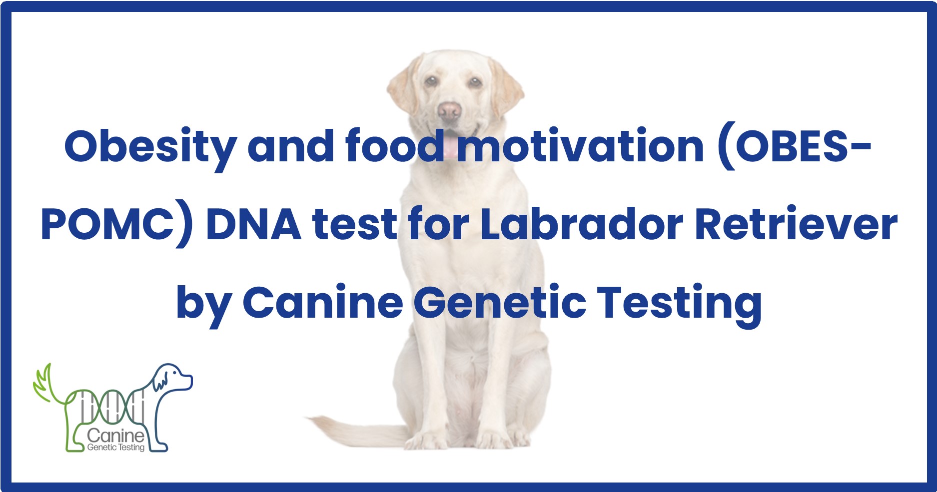 Obesity and food motivation | Canine Genetic Testing