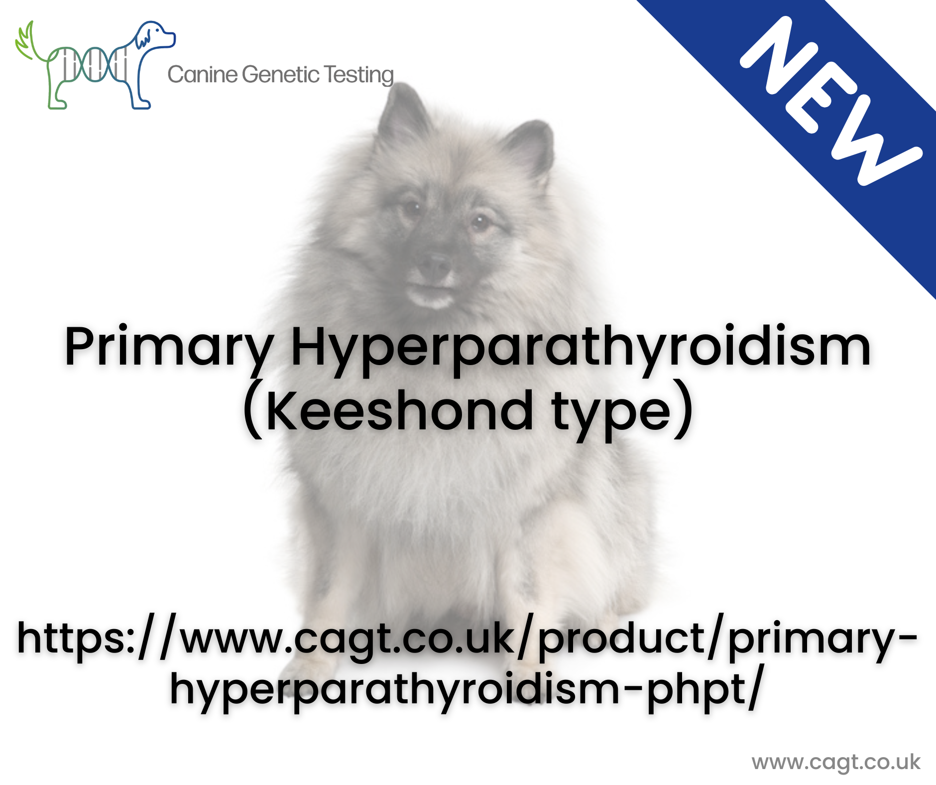Primary Hyperparathyroidism (PHPT) | Canine Genetic Testing